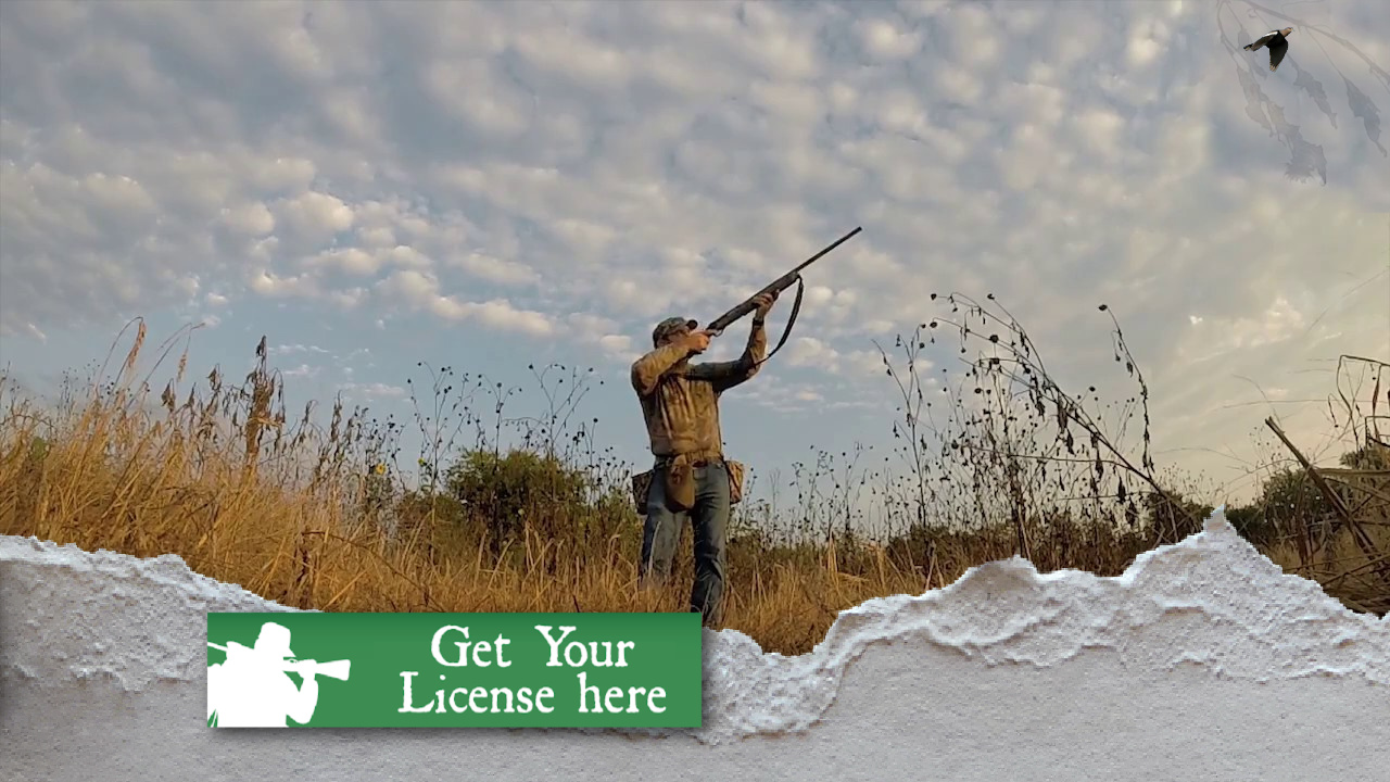 Glick Twins Inc. - Serving South Texas Since 1945